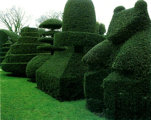 6 Unique Hedge Design Ideas - Jim's Mowing NZ