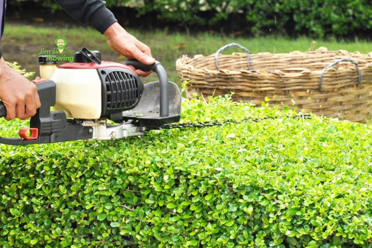 How to Do Hedge Trimming for Beginners - Jim's Mowing NZ