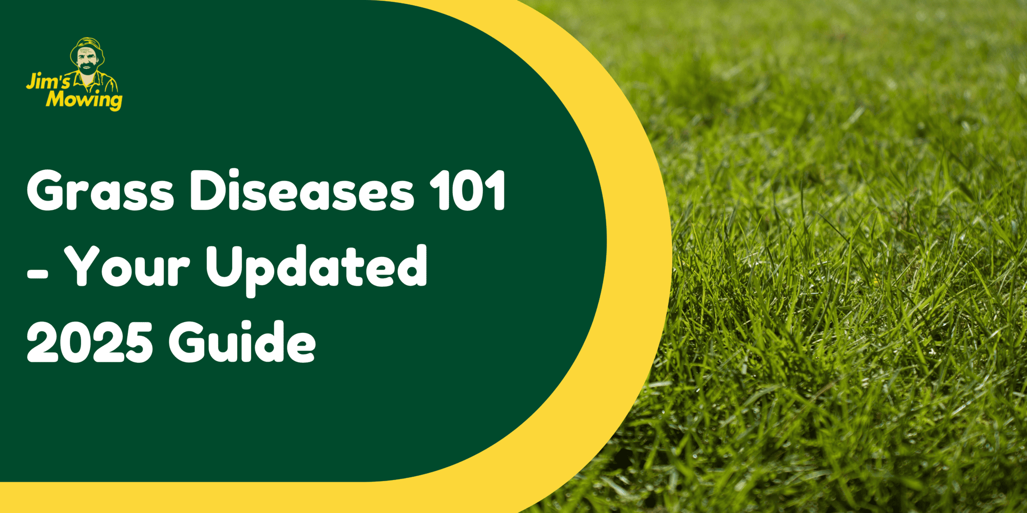 Grass Diseases 101 - Lawn Disease Treatment & Prevention